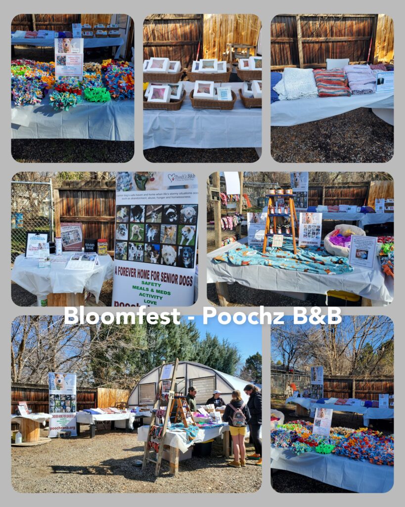 Bloomfest at Roots Garden Center - Pooch'z BnB